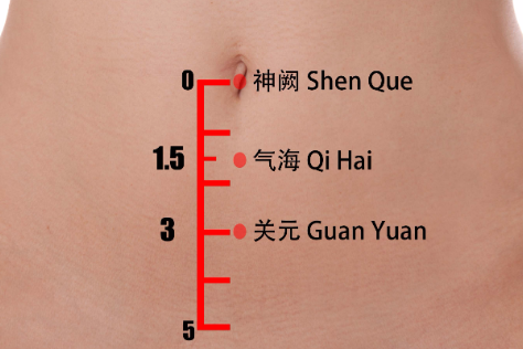 3 Major Causes of Illness (3)- Supplement Original Yang- Anti-aging ...